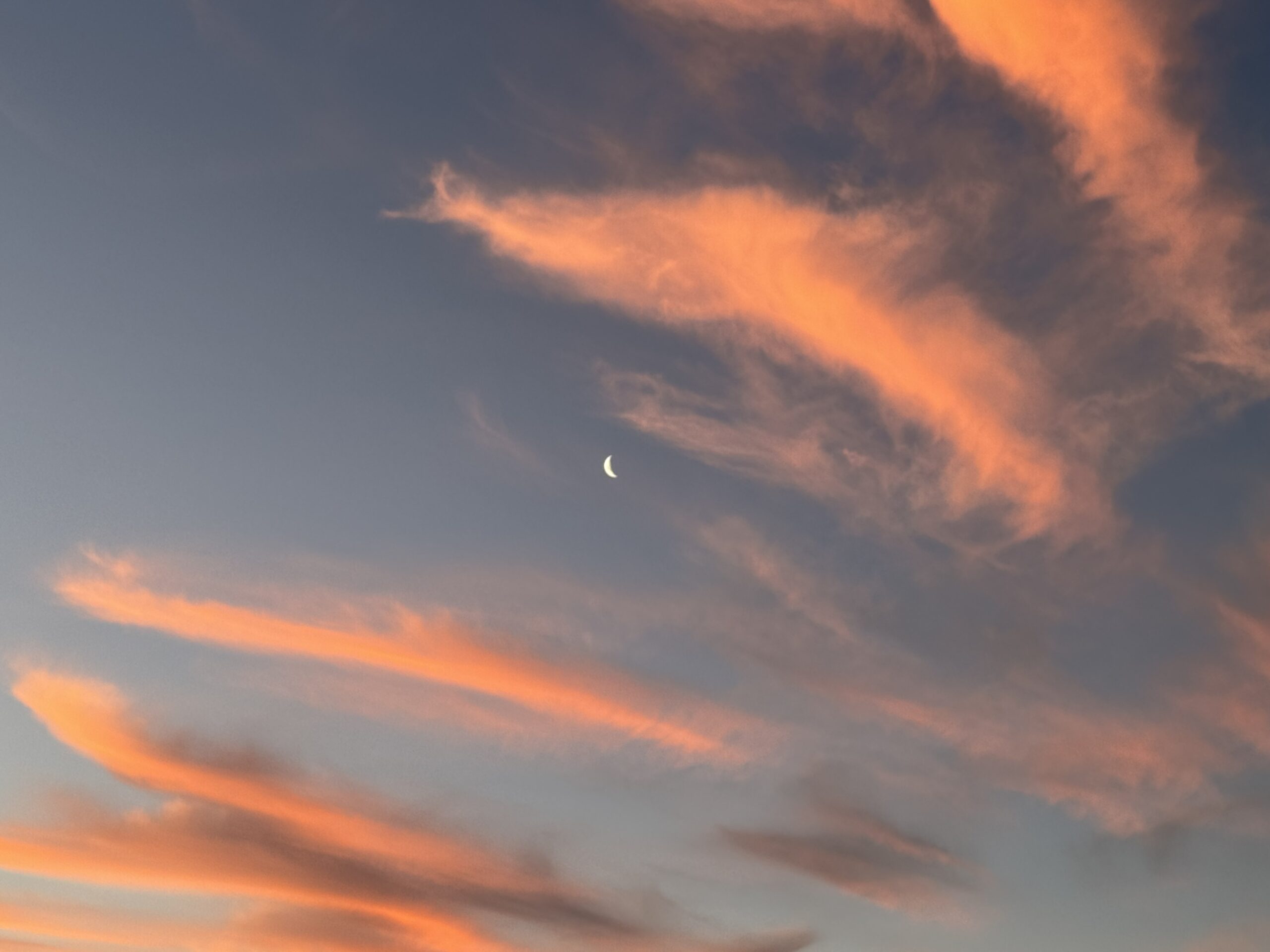 What is a Fractional role and why should you care? - AgileData.cloud